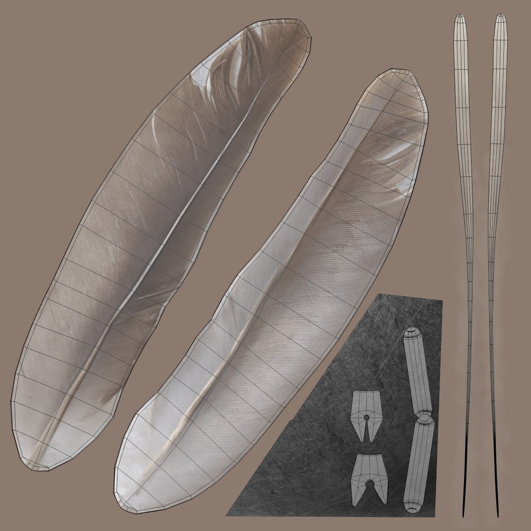 3D Quill - TurboSquid 1176364