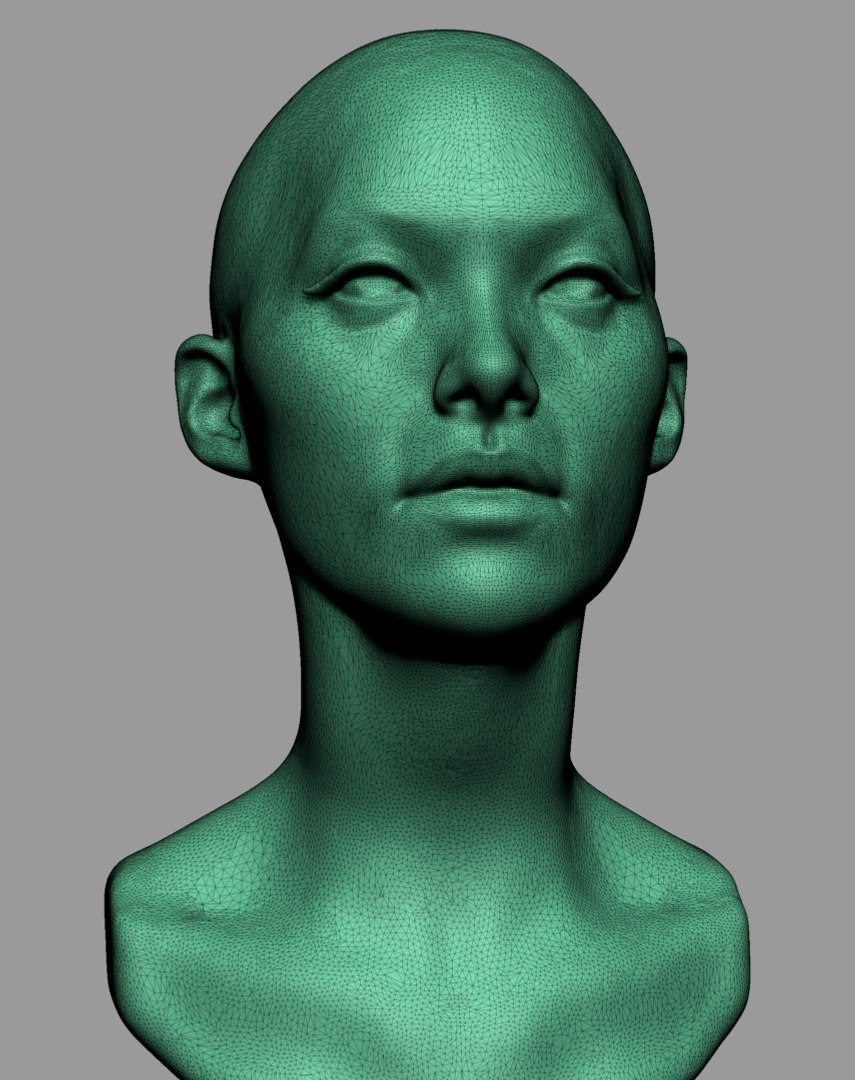 3D Base Female Head Model - TurboSquid 1430546