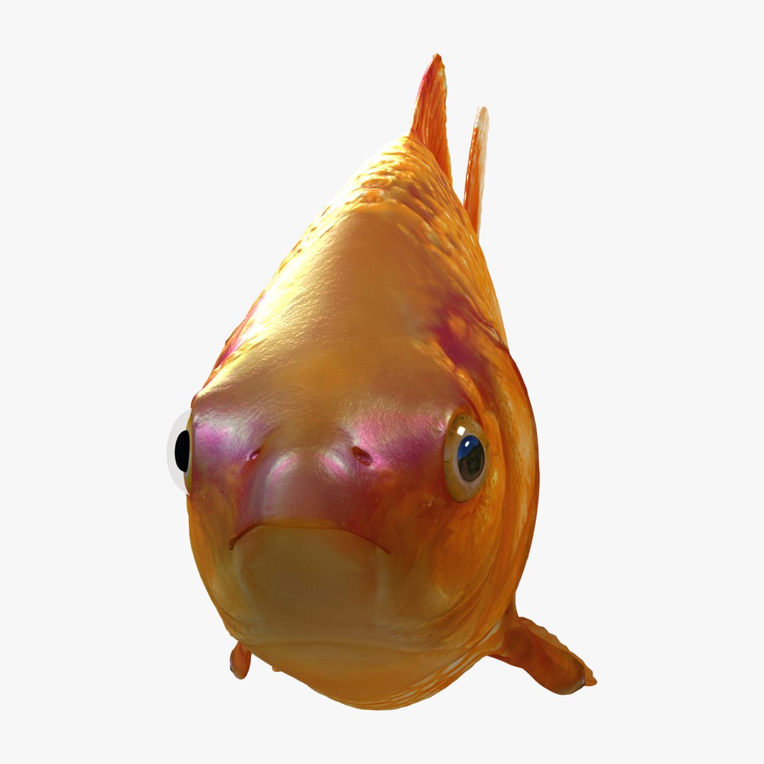 3d goldfish fish common model