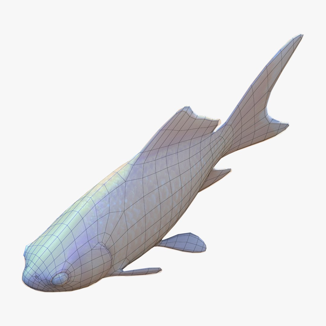 3d goldfish fish common model