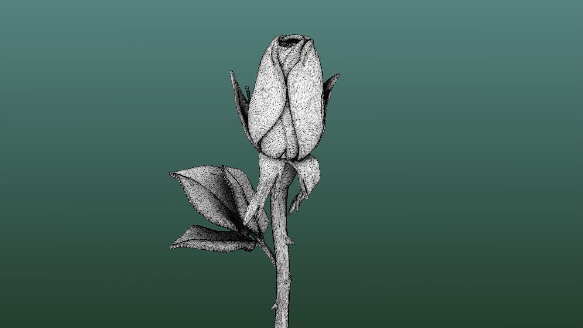 Rose Printable Model - TurboSquid 2199445