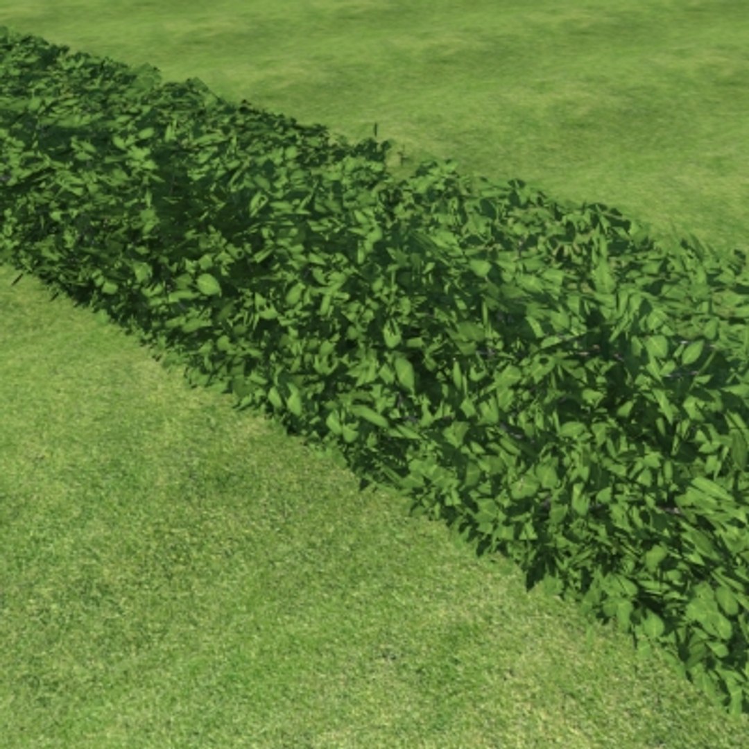 3ds max highpoly hedge