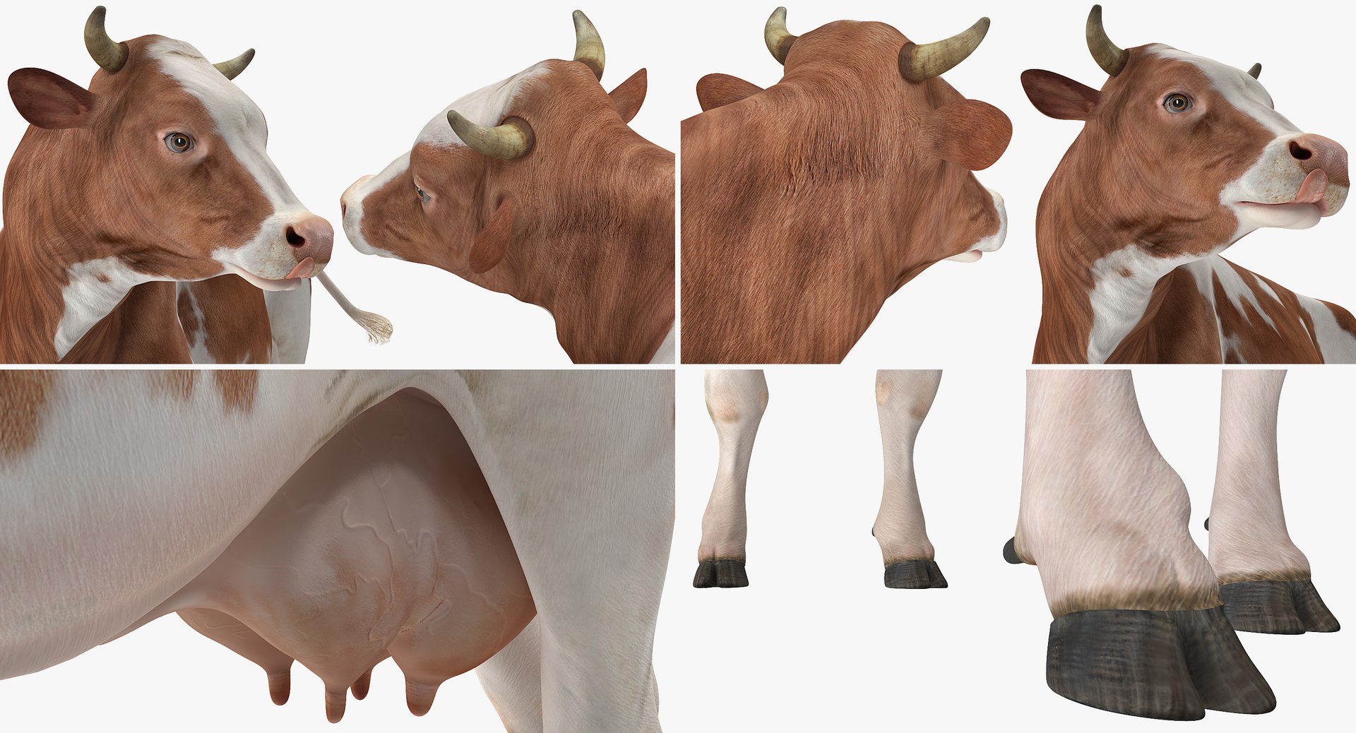 3d Milking Machine With Cow And Milk Bucket Collection Model