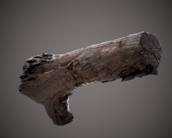 3D scan tree branch - TurboSquid 1254672