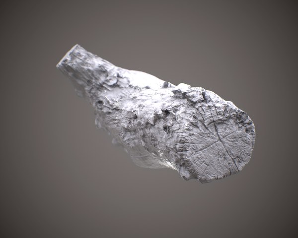 3D scan tree branch - TurboSquid 1254672