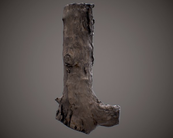 3D scan tree branch - TurboSquid 1254672