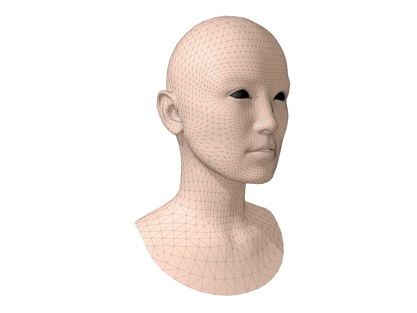 Human Head Model - TurboSquid 1507508