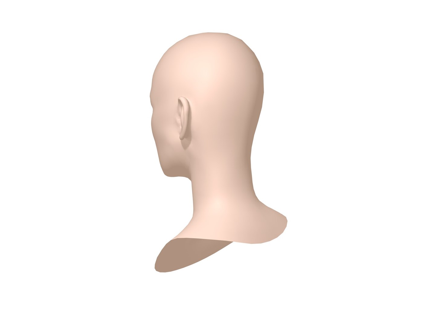 Human Head Model - TurboSquid 1507508