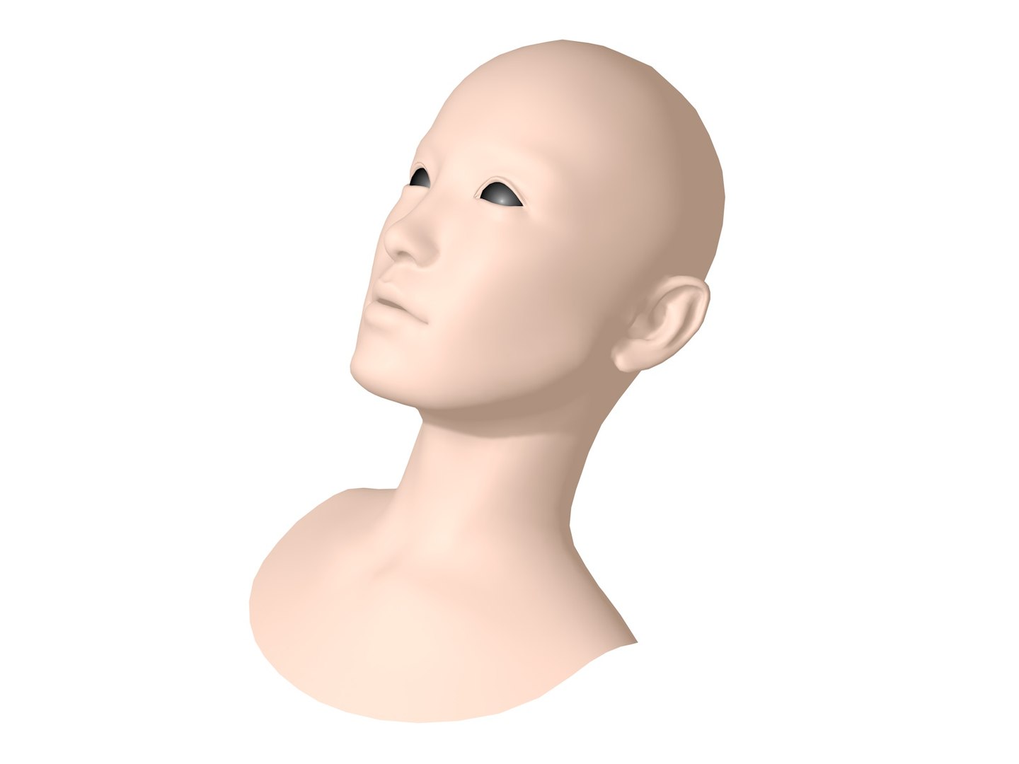 Human Head Model - TurboSquid 1507508