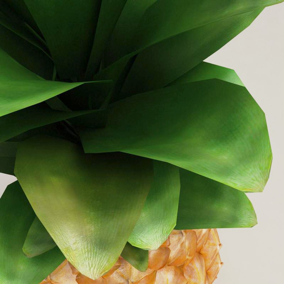 3ds Max Pineapple Modelled