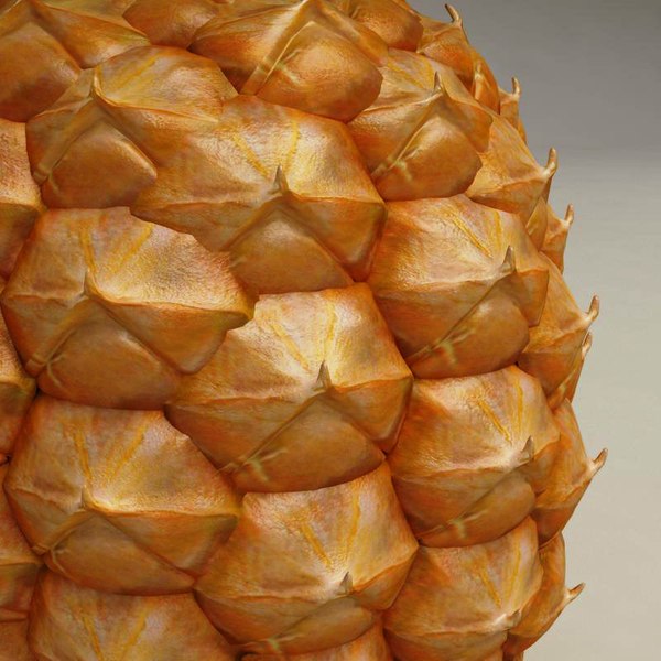 3ds max pineapple modelled