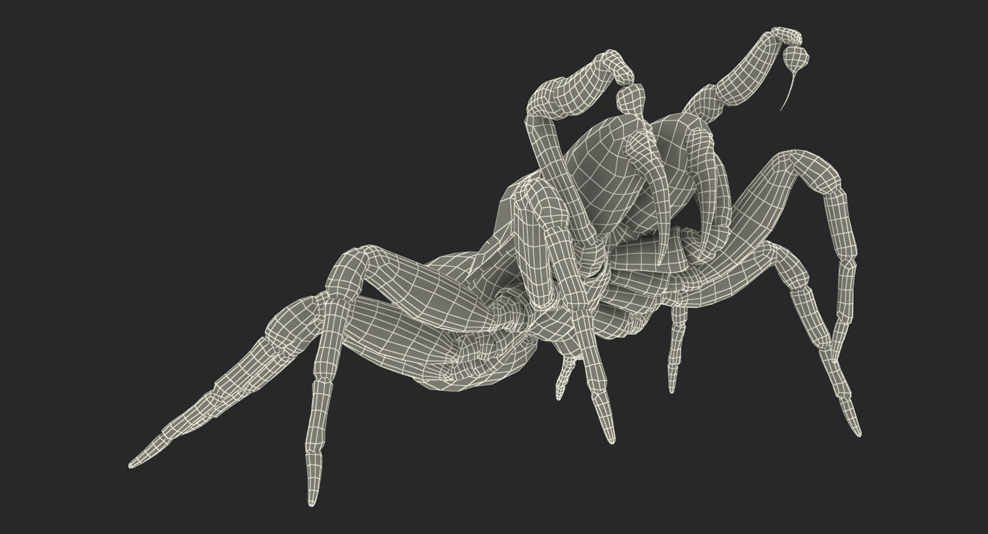 Mouse Spider Fighting Pose 3D Model - TurboSquid 1165853