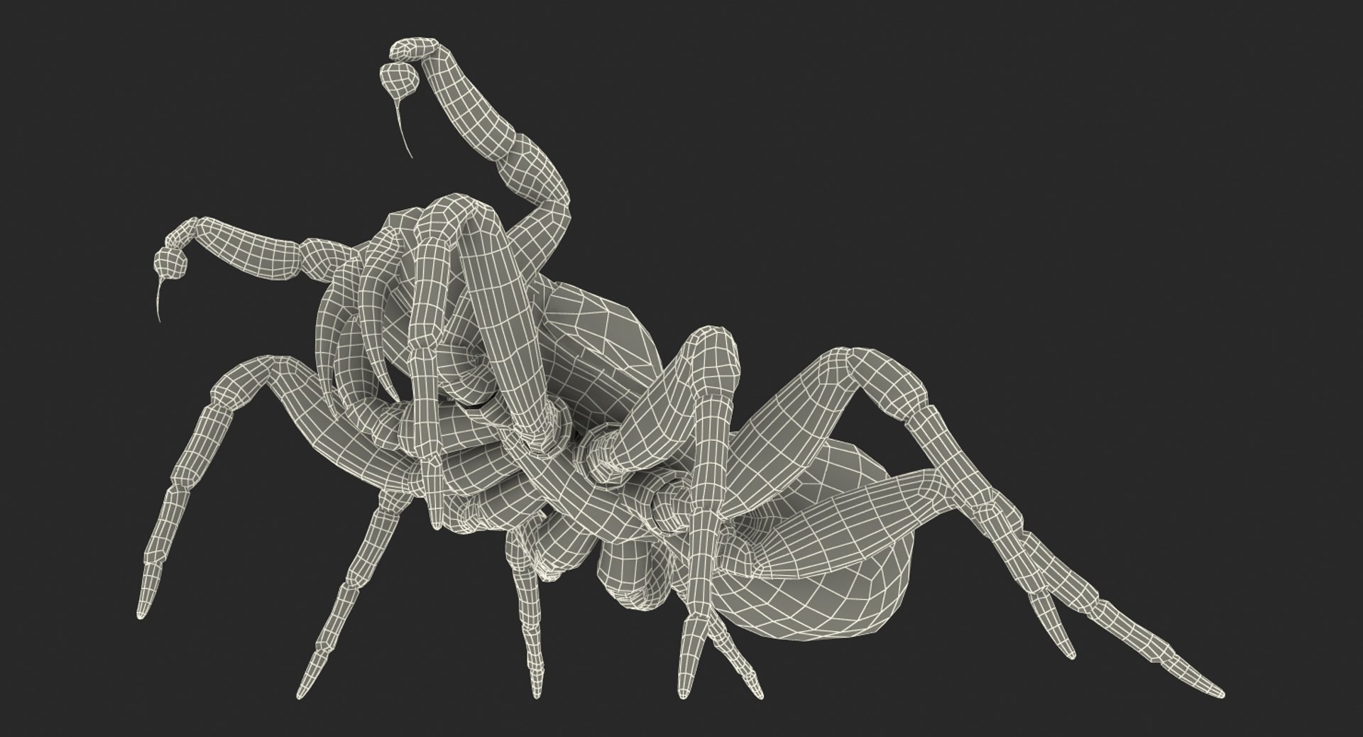 Mouse Spider Fighting Pose 3D Model - TurboSquid 1165853