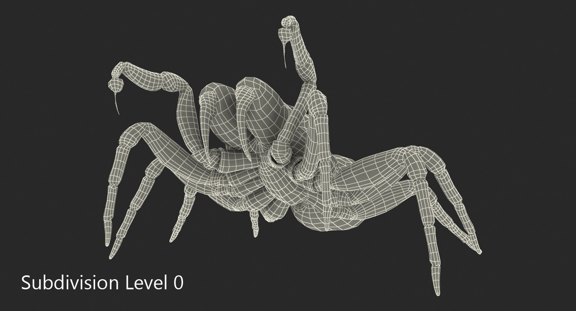 Mouse Spider Fighting Pose 3D Model - TurboSquid 1165853