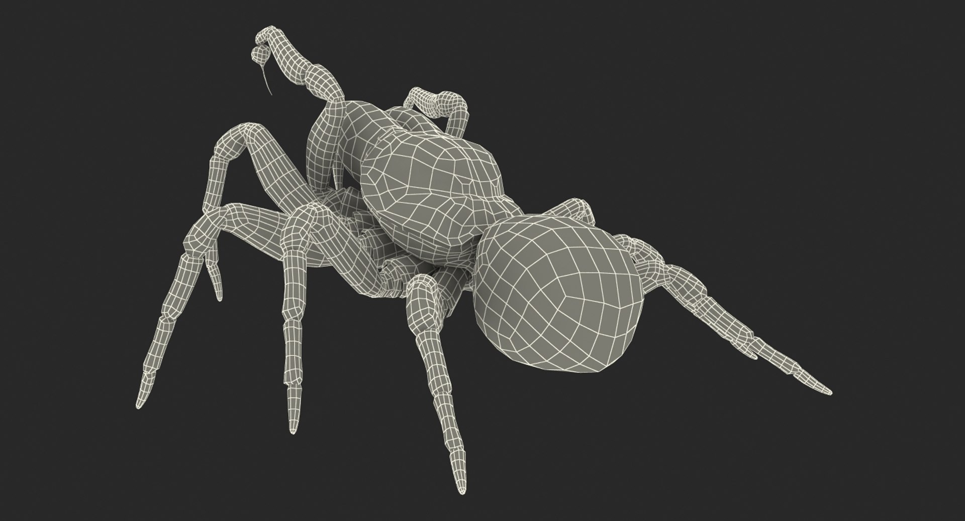 Mouse Spider Fighting Pose 3D Model - TurboSquid 1165853