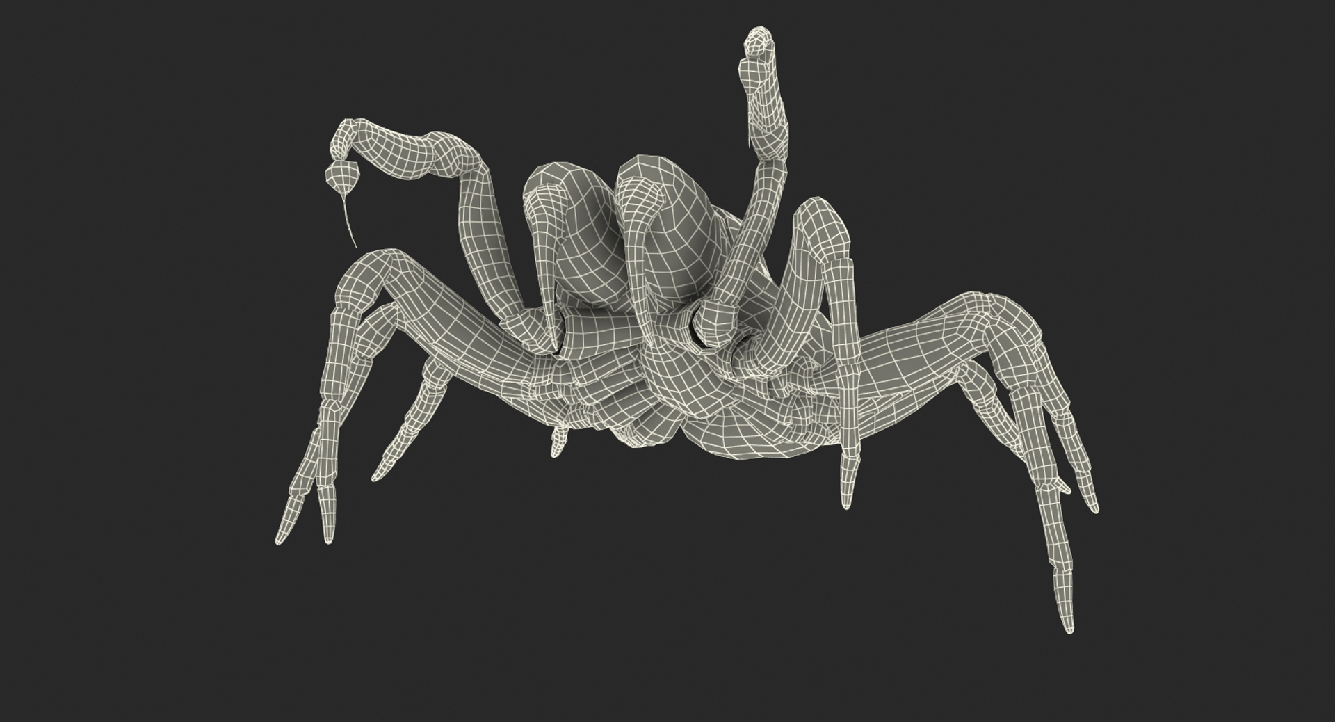 Mouse Spider Fighting Pose 3D Model - TurboSquid 1165853
