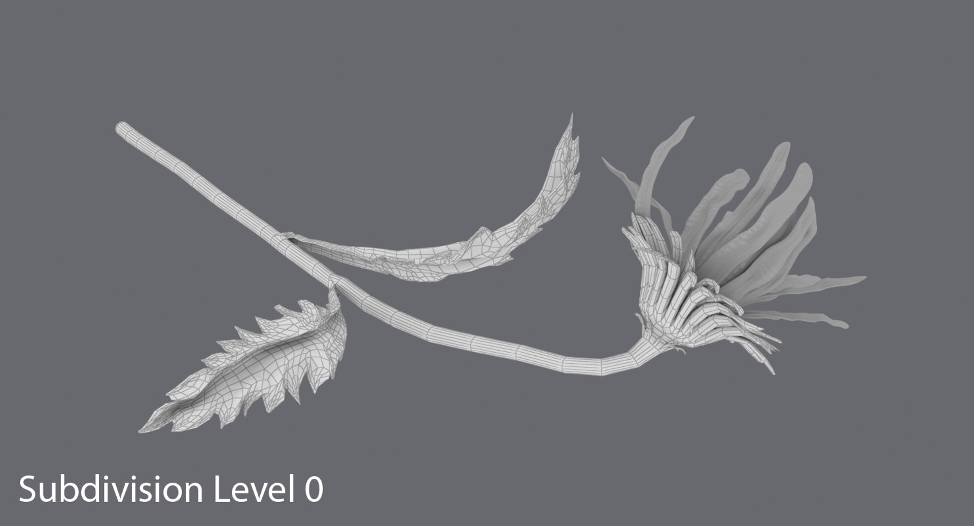 Dead Daisy Laying 01 Max