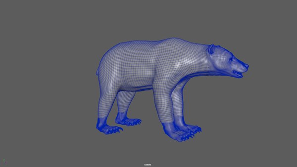 Bear Collection Houdini model - TurboSquid 1763555