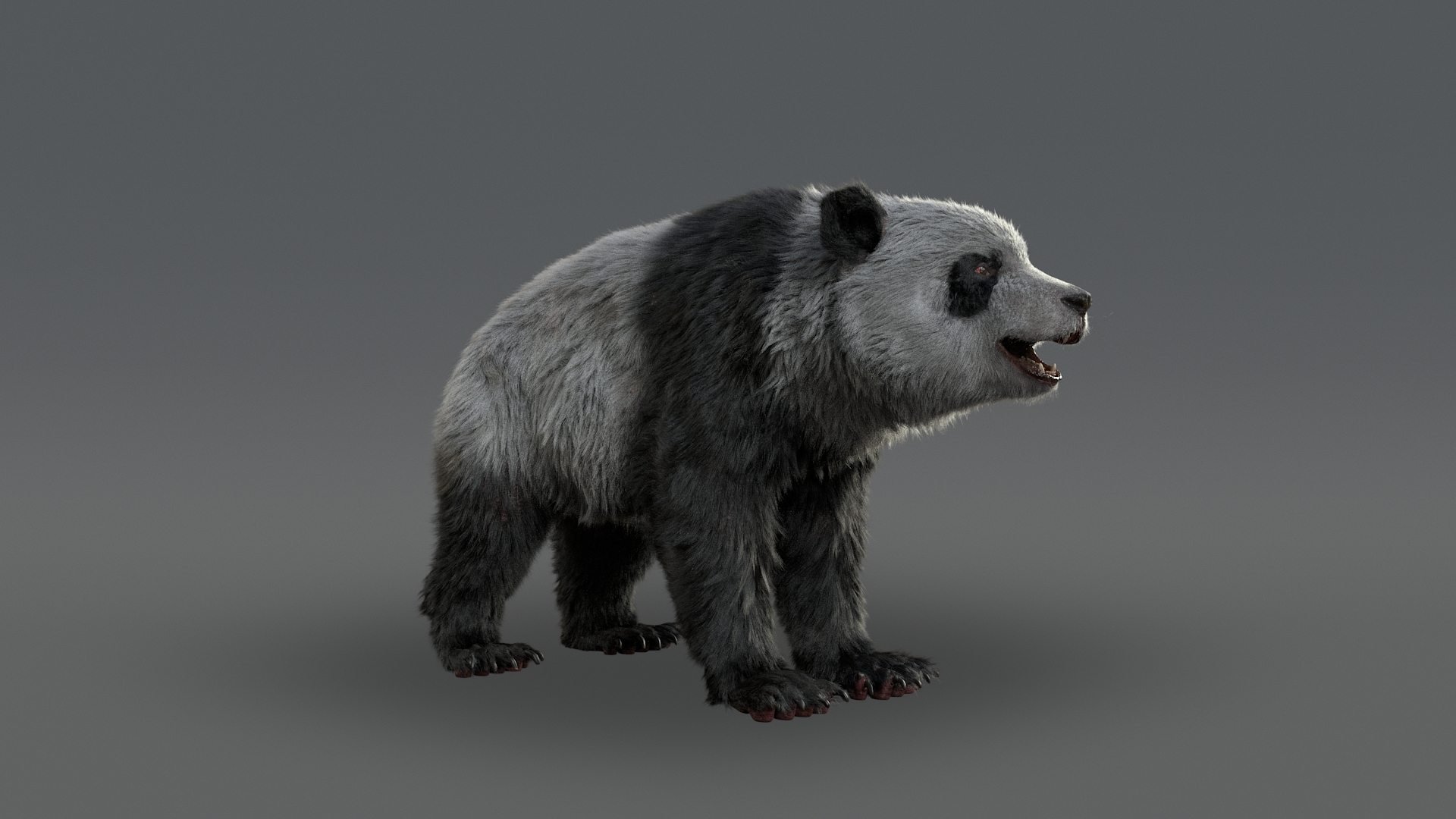 Bear Collection Houdini Model - TurboSquid 1763555