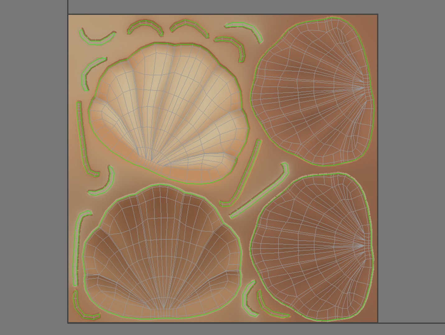 Shell Cartoon 3D - TurboSquid 1456171