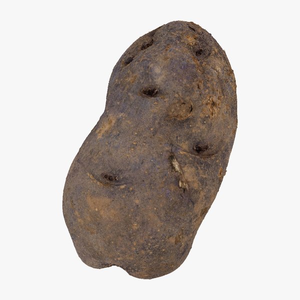 Purple potato 03 raw 3D model - TurboSquid 1665108