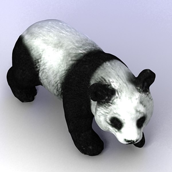 Panda Bear 3D Models for Download | TurboSquid