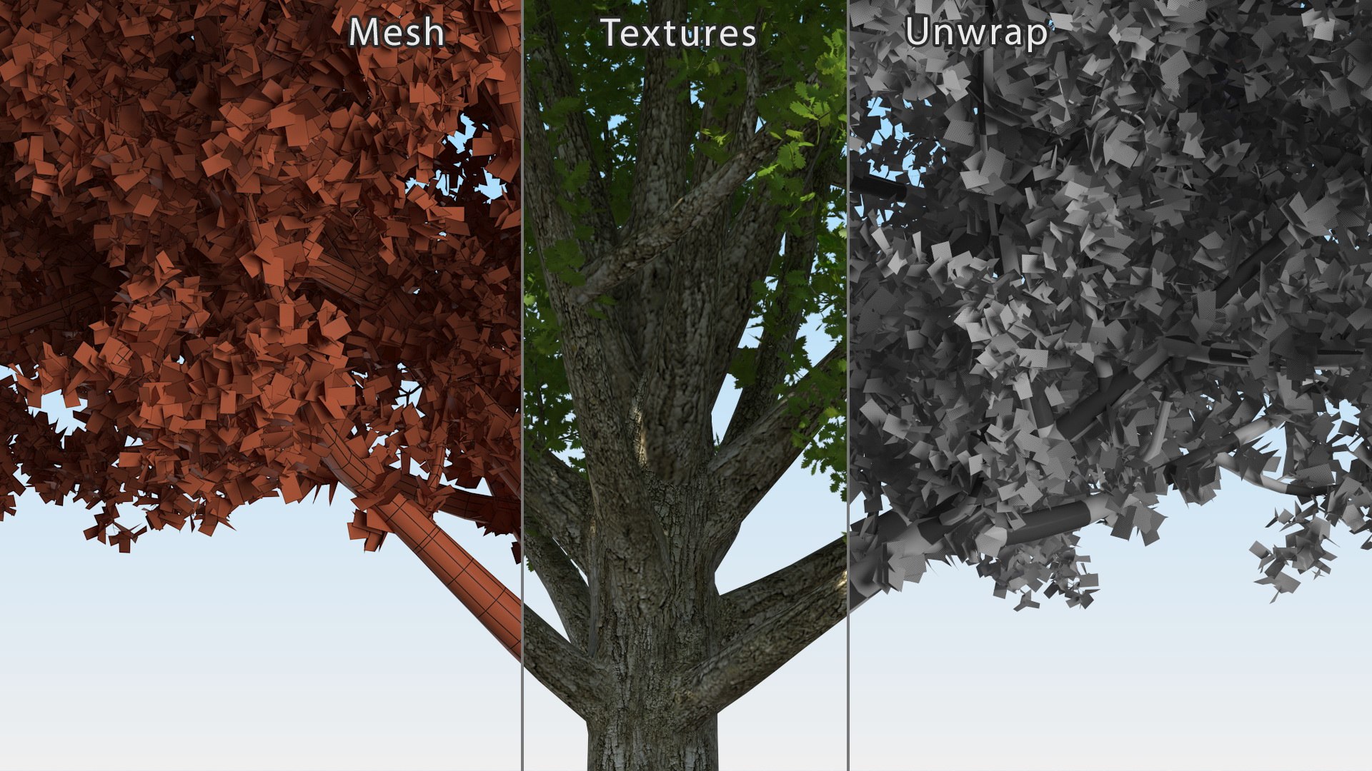 Realistic Oak Tree 3D Model - TurboSquid 2191936