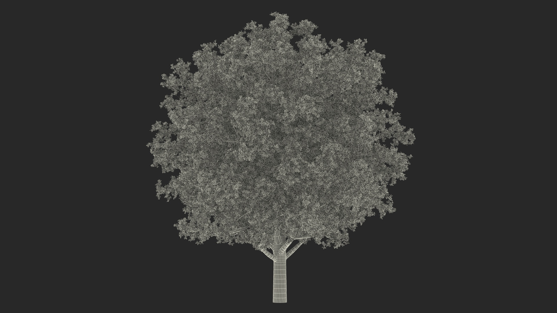 Realistic Oak Tree 3D Model - TurboSquid 2191936