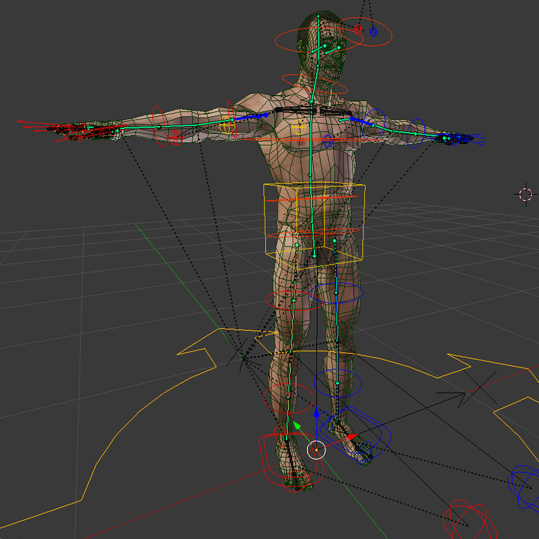 3D blender rigged male female anatomy - TurboSquid 1298654