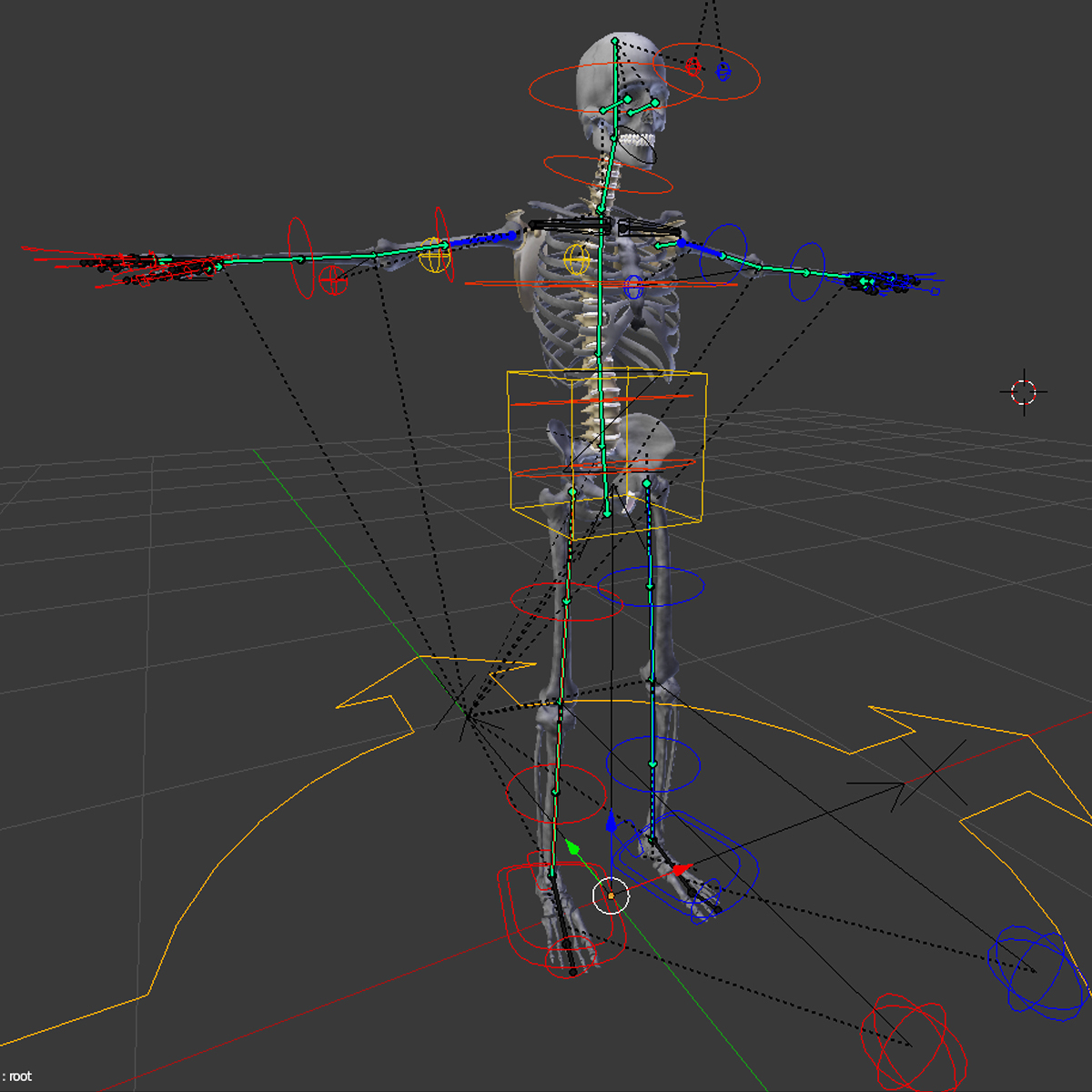 3D blender rigged male female anatomy - TurboSquid 1298654