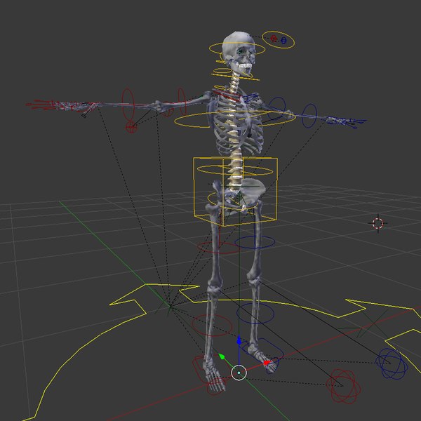 3D blender rigged male female anatomy - TurboSquid 1298654