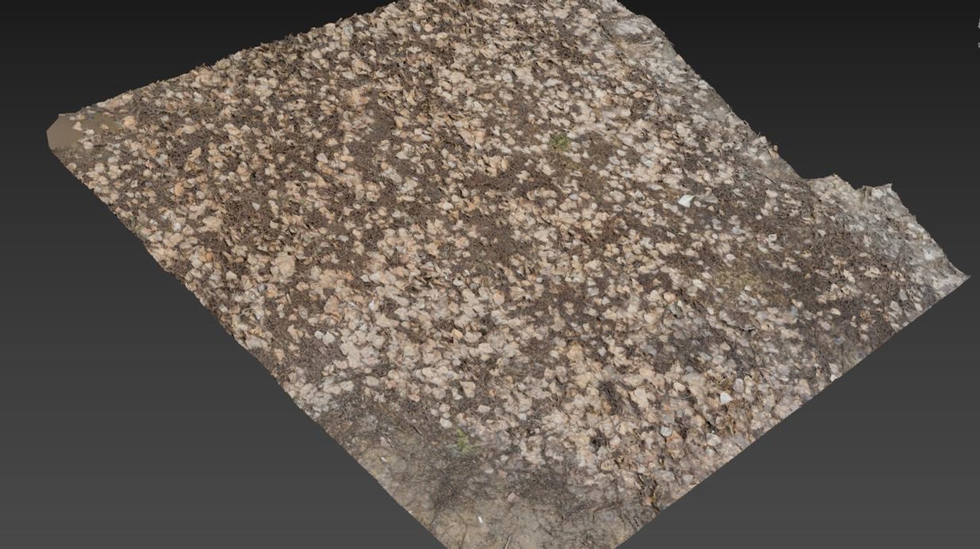 Ultra realistic Ground autumn 3D model - TurboSquid 1758483