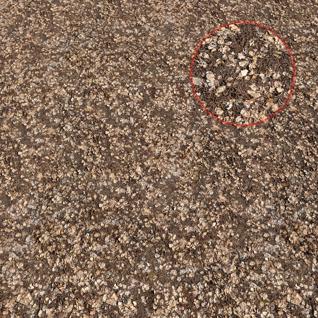 Ultra realistic Ground autumn 3D model - TurboSquid 1758483