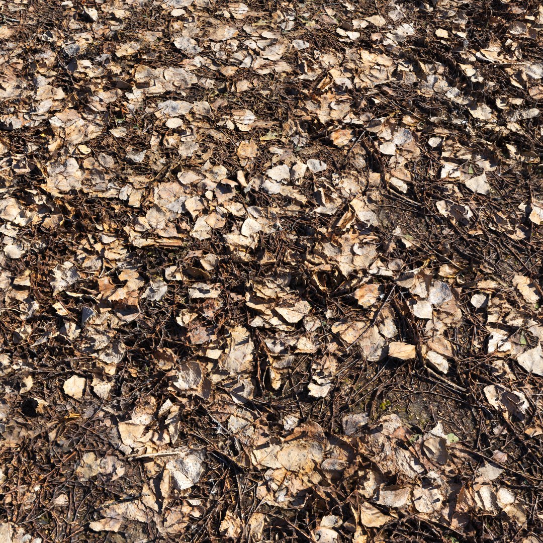Ultra realistic Ground autumn 3D model - TurboSquid 1758483
