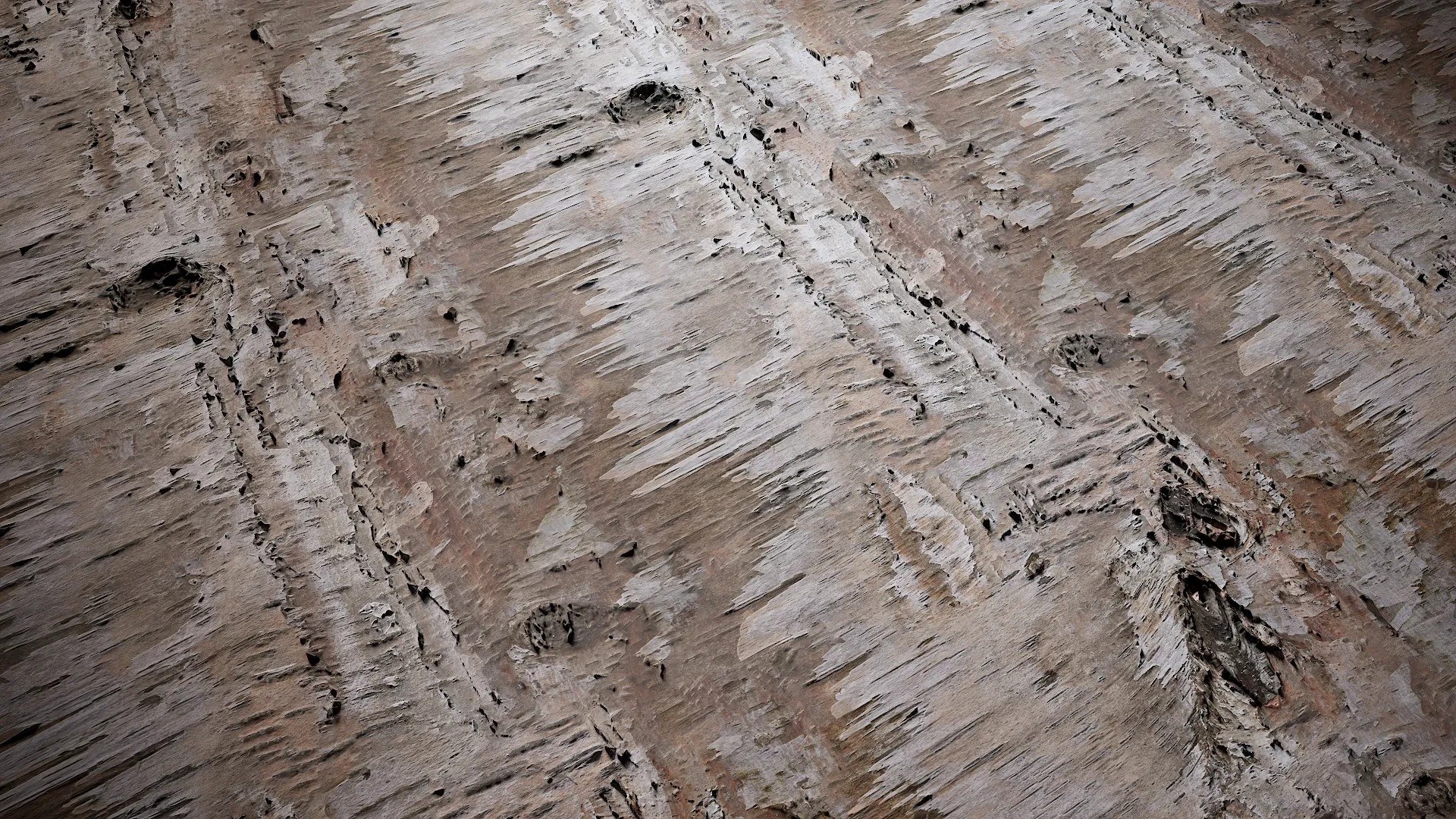 Birch Tree Textures Pack 3D Model - TurboSquid 2318258