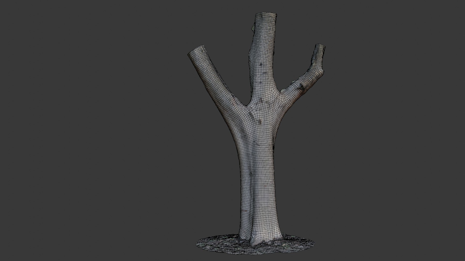 3D Forked Tree Trunk 3D Scan - TurboSquid 2395596