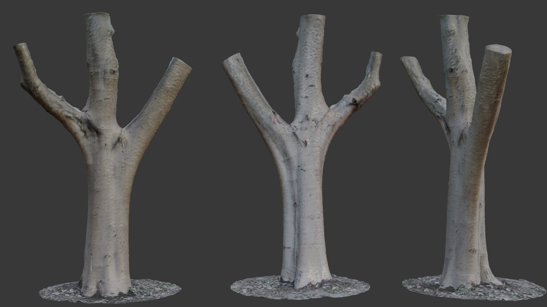 3D Forked Tree Trunk 3D Scan - TurboSquid 2395596