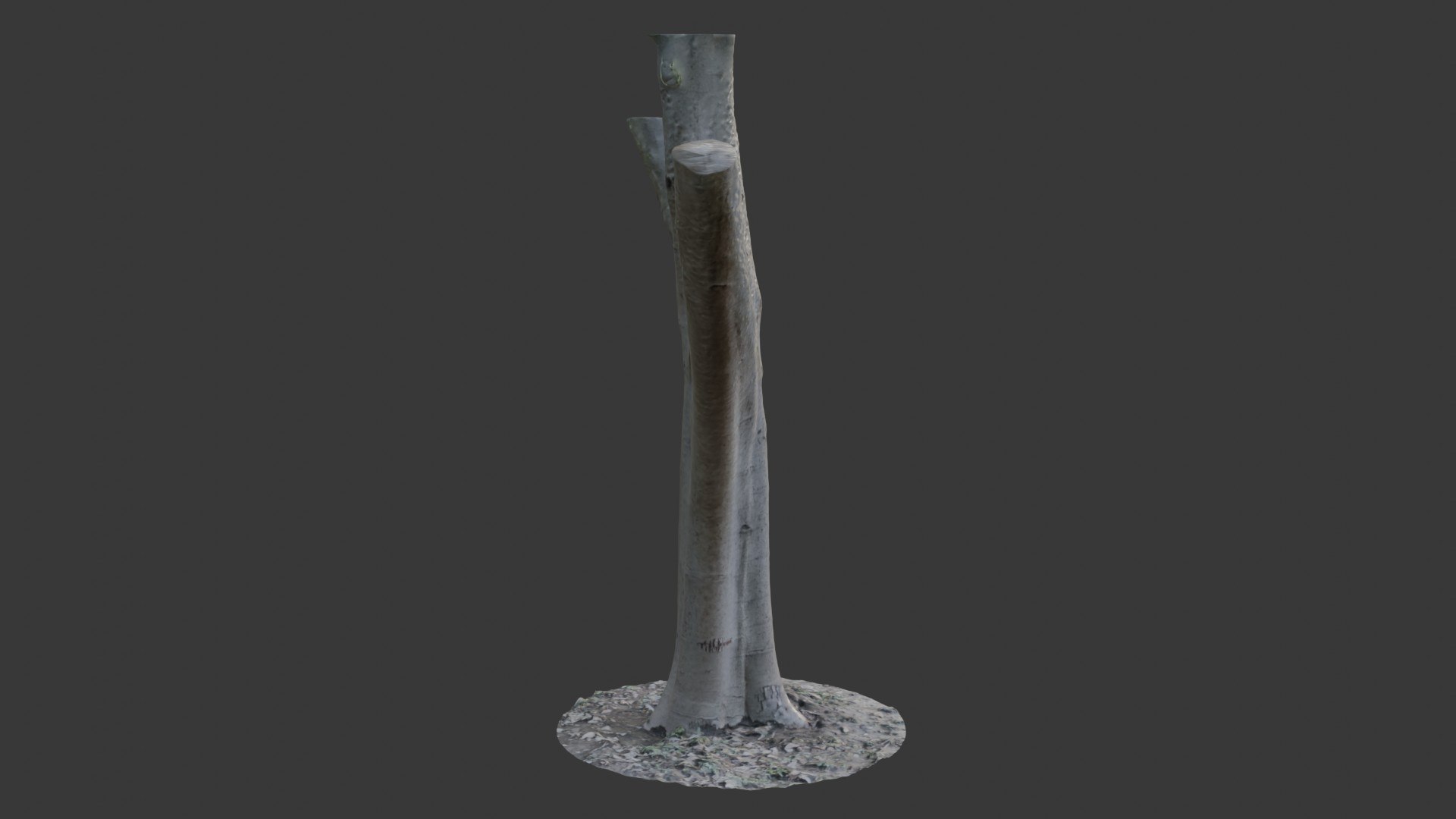 3D Forked Tree Trunk 3D Scan - TurboSquid 2395596
