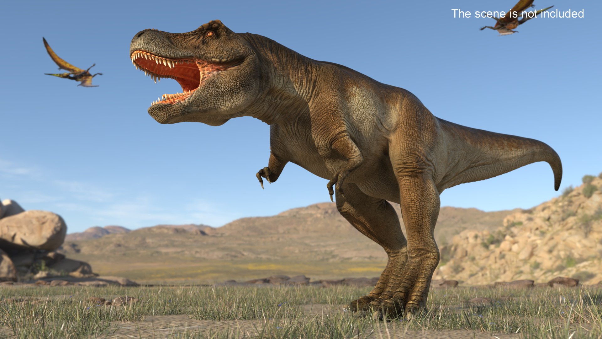 Tyrannosaurus Rex Walking Pose 3D Model - TurboSquid 2382475