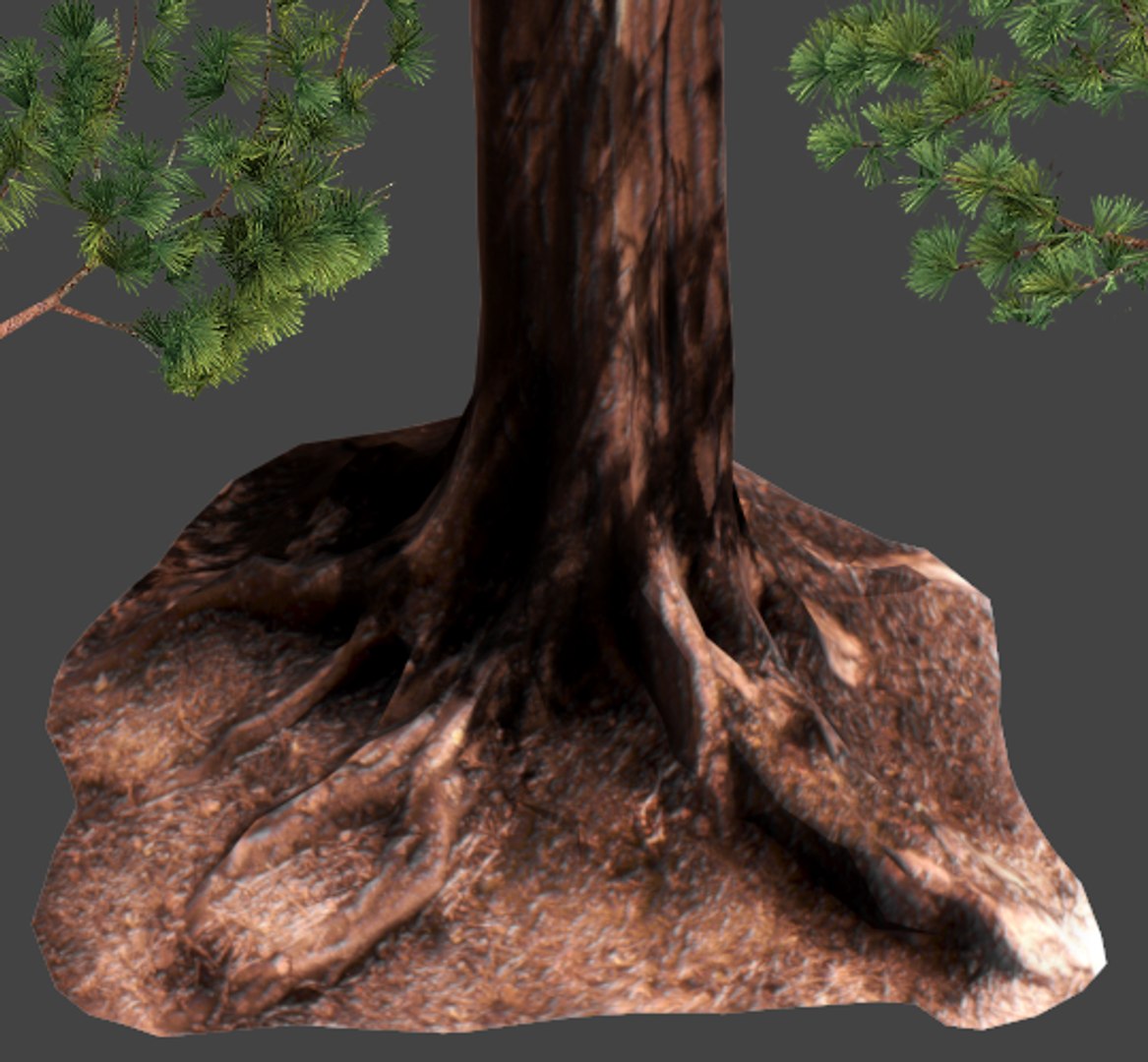 3D sequoia pine tree - TurboSquid 1336224