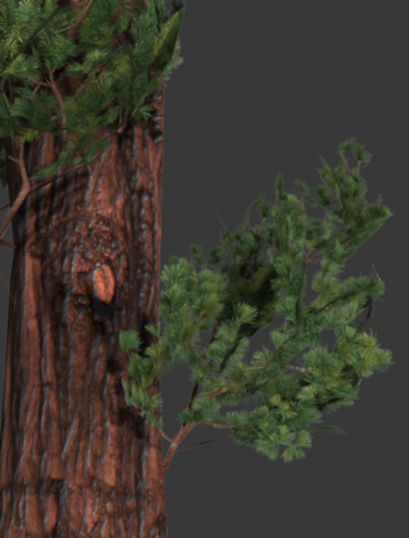 3D sequoia pine tree - TurboSquid 1336224