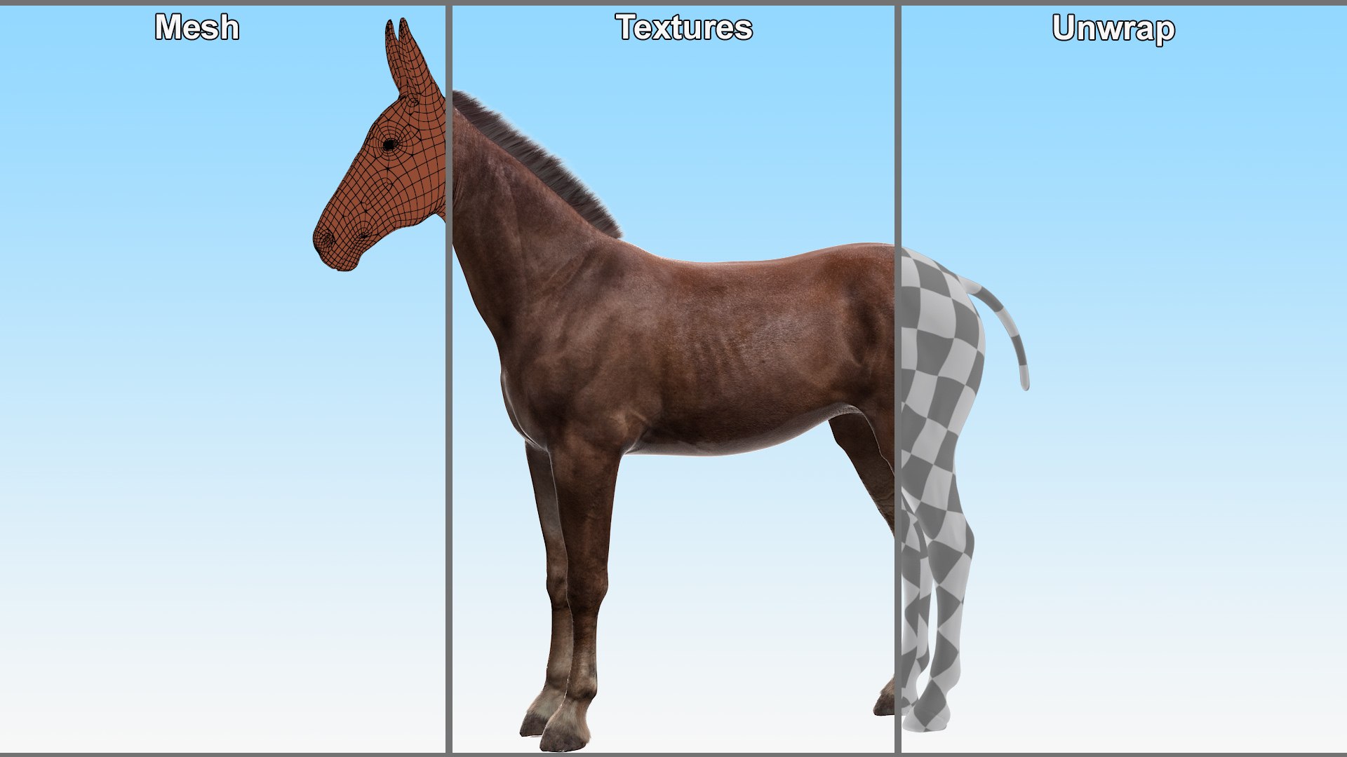 3D Bay Mule Fur Model - TurboSquid 2280772