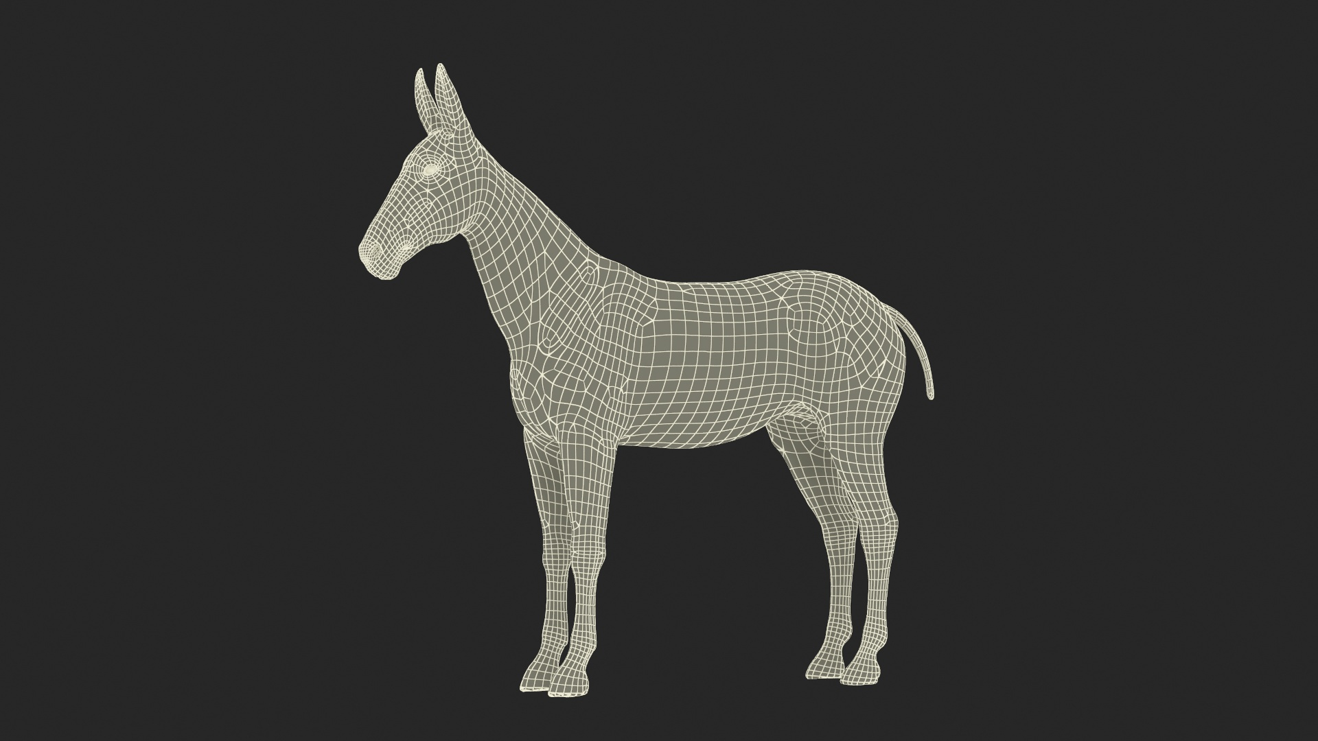 3D Bay Mule Fur Model - TurboSquid 2280772