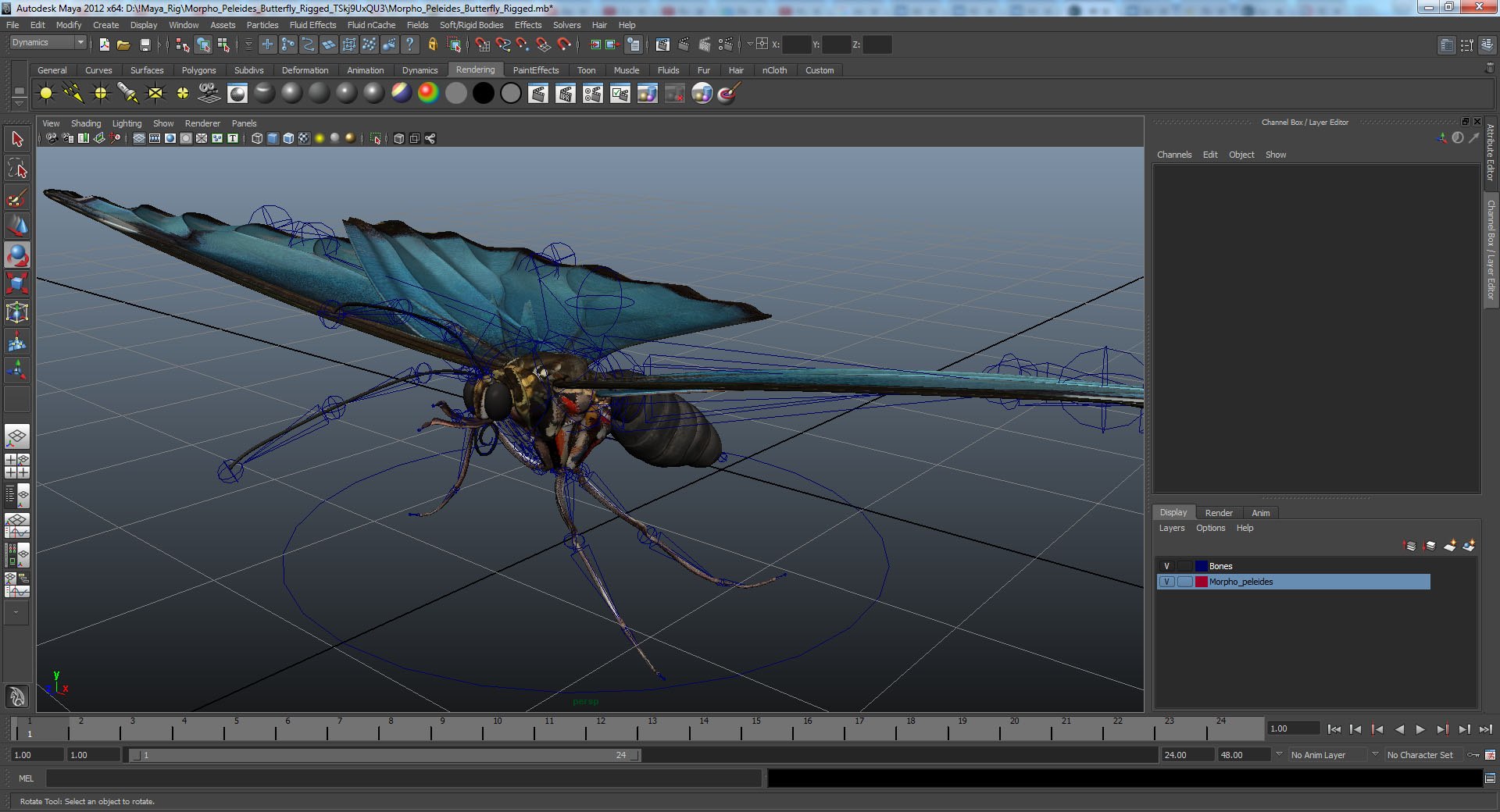Morpho peleides butterfly rigged 3D model - TurboSquid 1170682