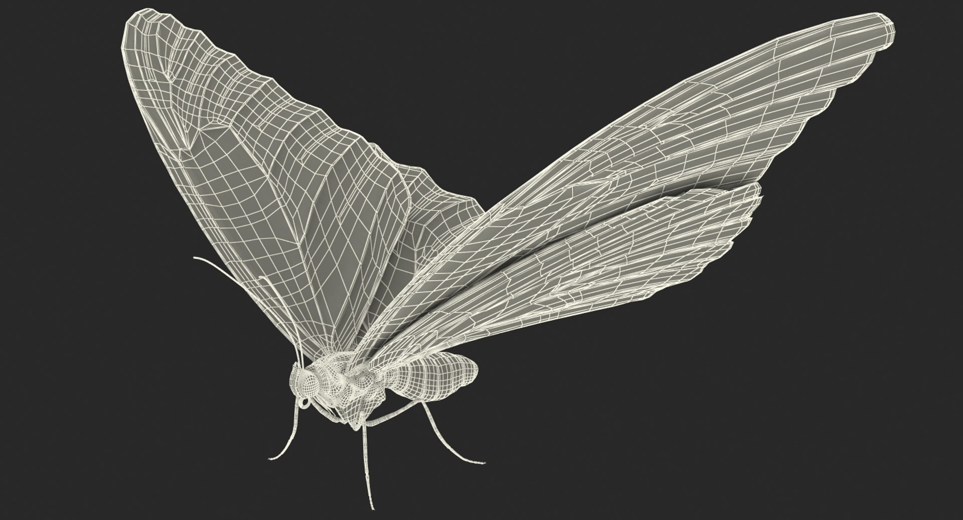 Morpho peleides butterfly rigged 3D model - TurboSquid 1170682
