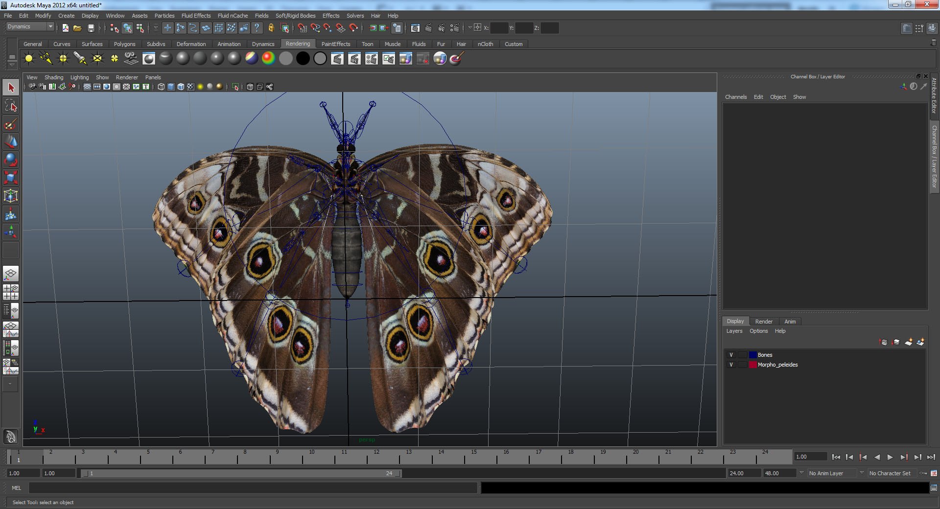 Morpho peleides butterfly rigged 3D model - TurboSquid 1170682