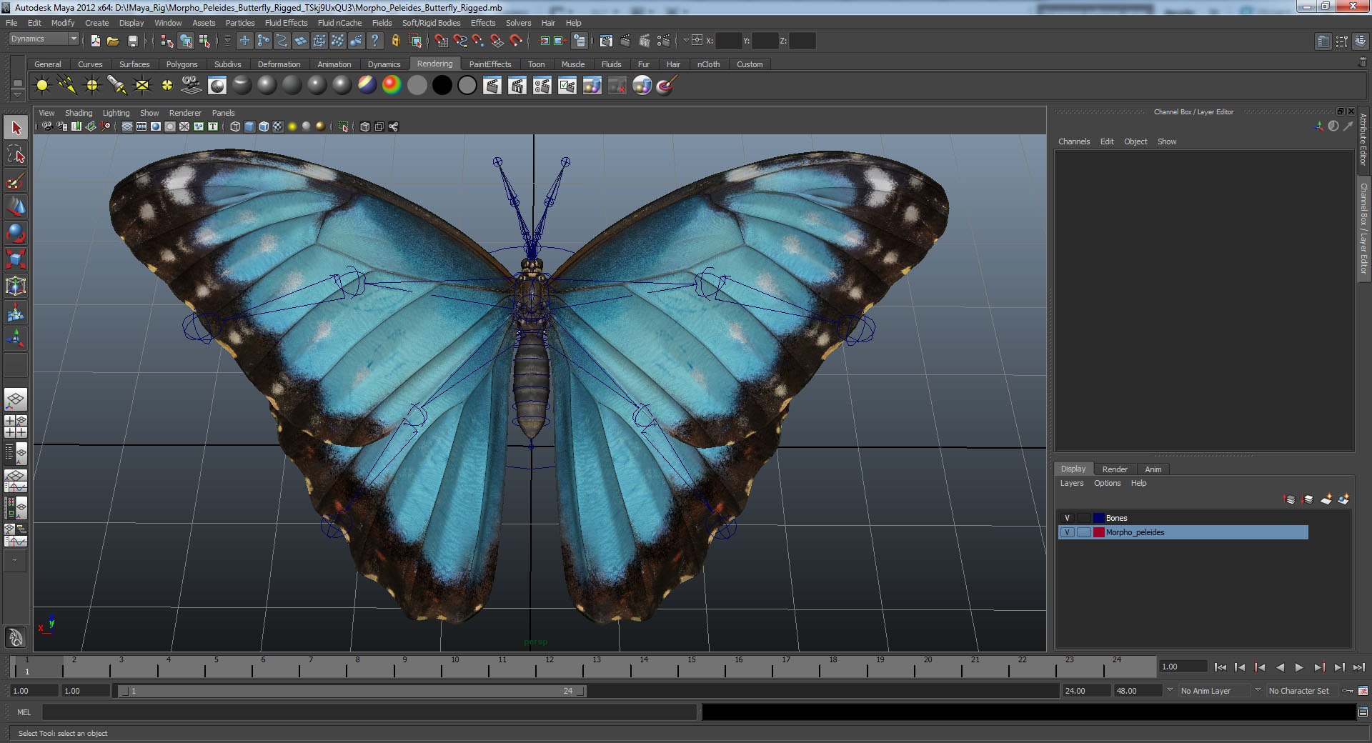 Morpho peleides butterfly rigged 3D model - TurboSquid 1170682