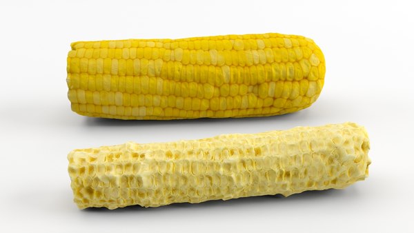 corn growth 3d model