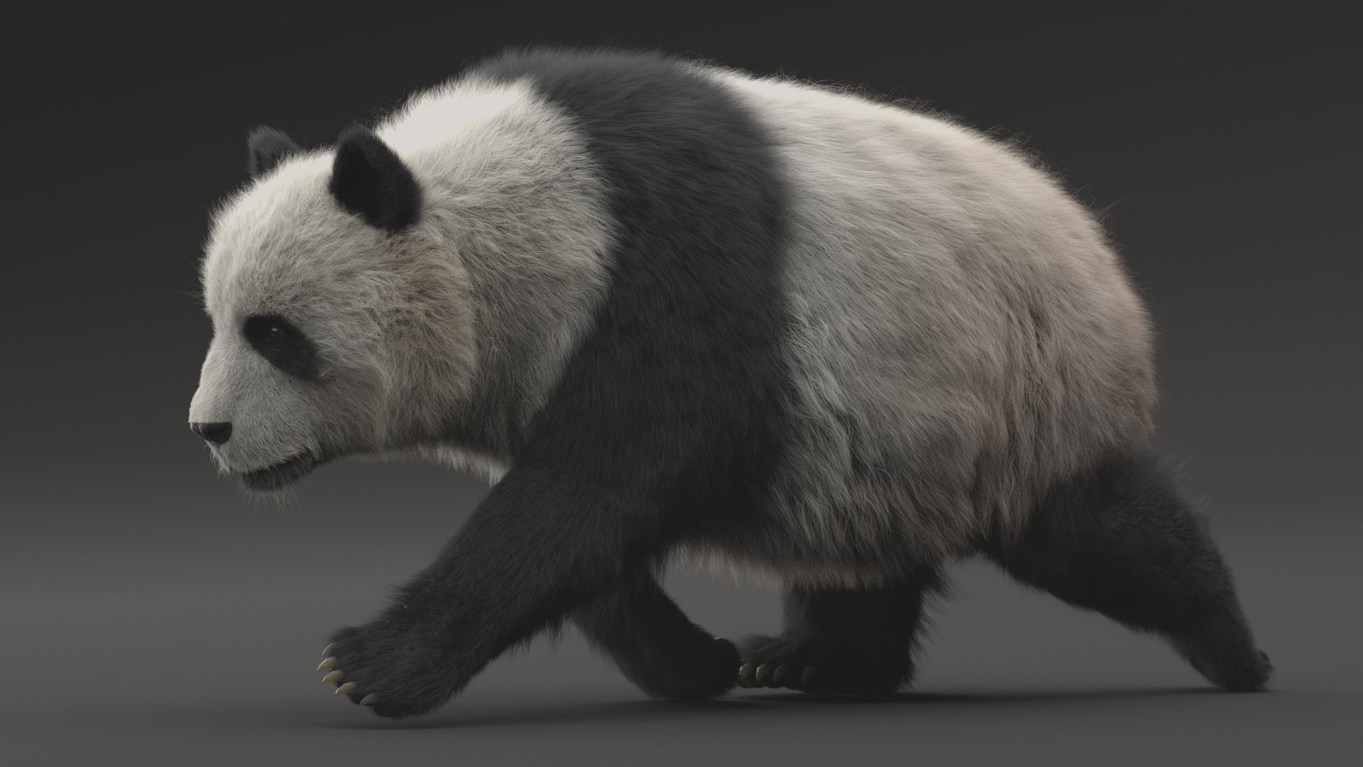 Panda Rigged 3D Model - TurboSquid 1537949