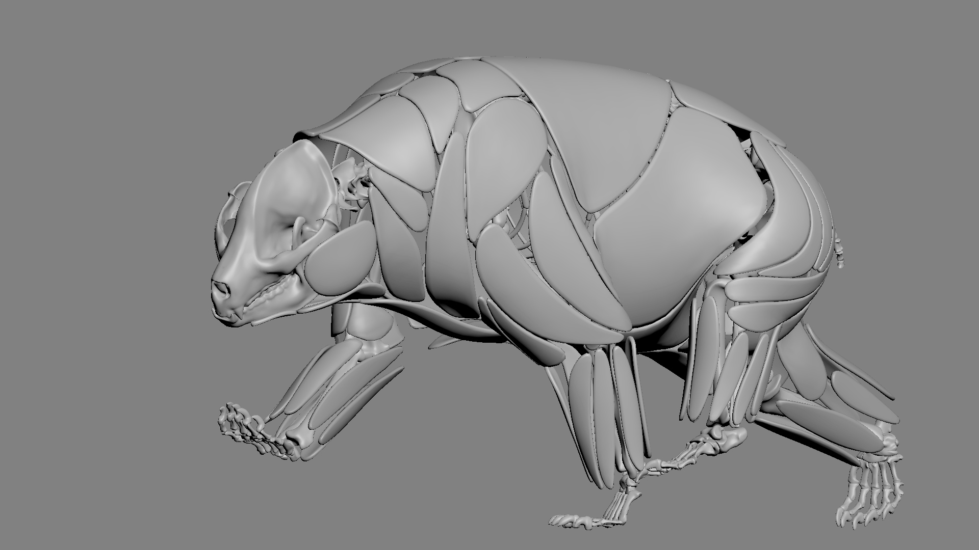 Panda Rigged 3D Model - TurboSquid 1537949